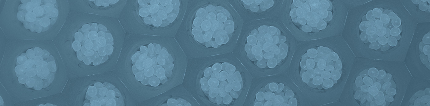 Technology – Coperion