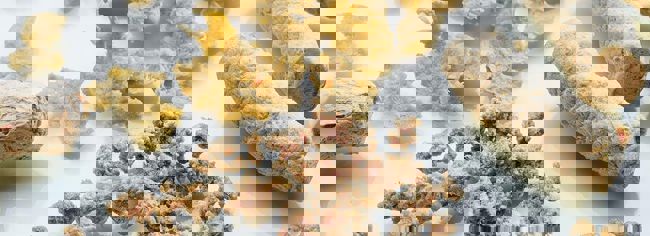 Driessen Food Extrusion decided for Coperion Food Extruder to Expand ...