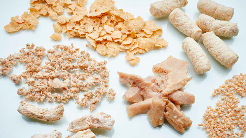 Factors Affecting Product Quality in TVP and HMMA Processing – Coperion