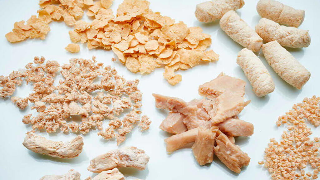 Factors Affecting Product Quality in TVP and HMMA Processing – Coperion