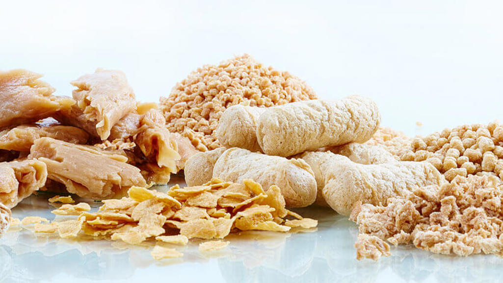 Success Story: Coperion Installs Versatile ZSK Extruder in Hybrid ...