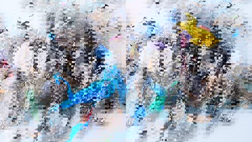 Innovative ZS-B MEGAfeed Side Feeder Makes Plastics Recycling Markedly ...